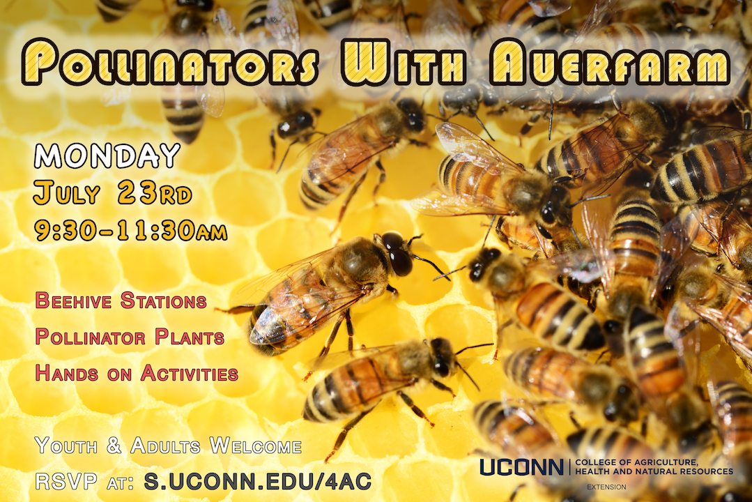 Bug Week 2018 Programs | Bug Month 2021