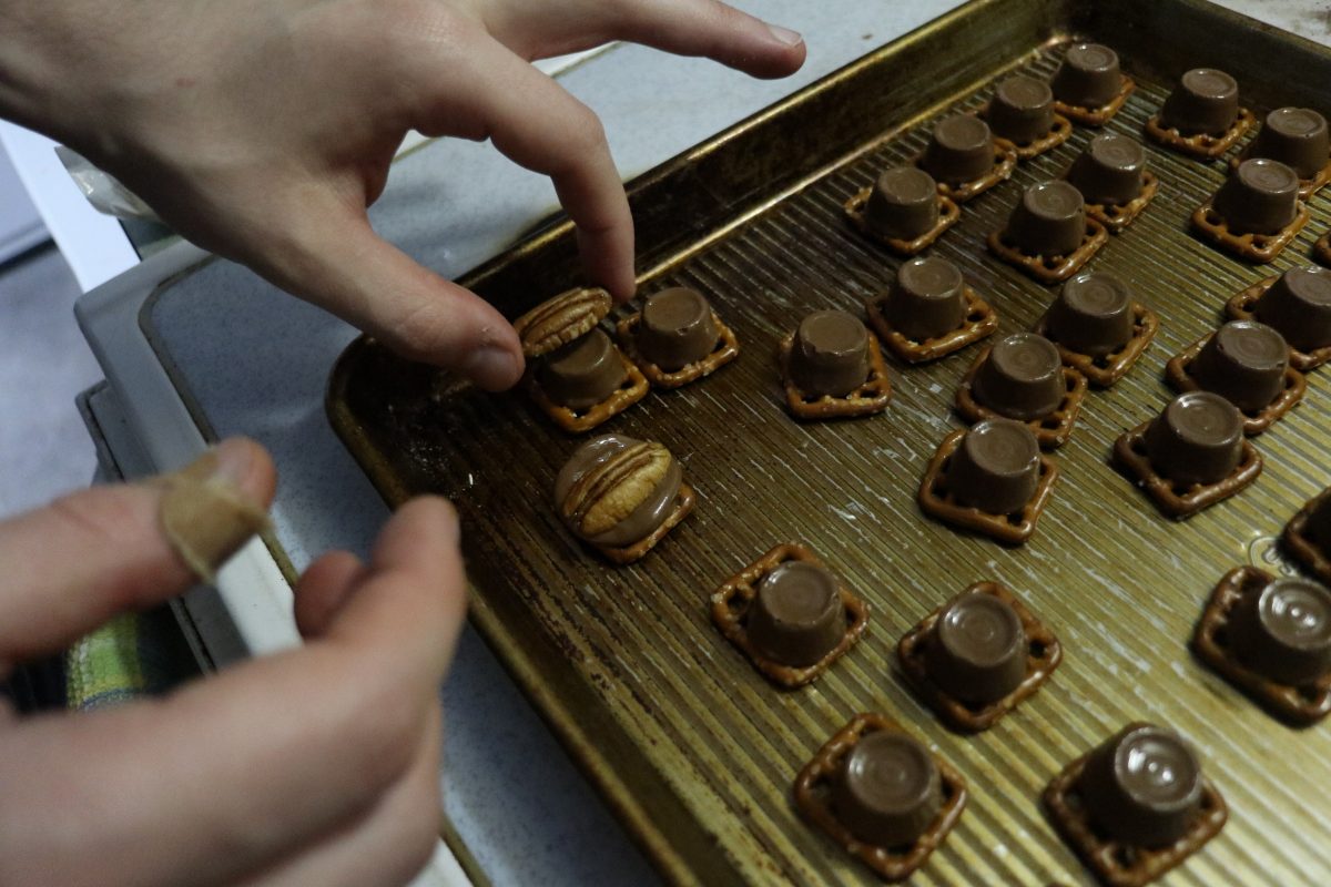 Sweet and Salty Beetle Cookies | Bug Week 2023