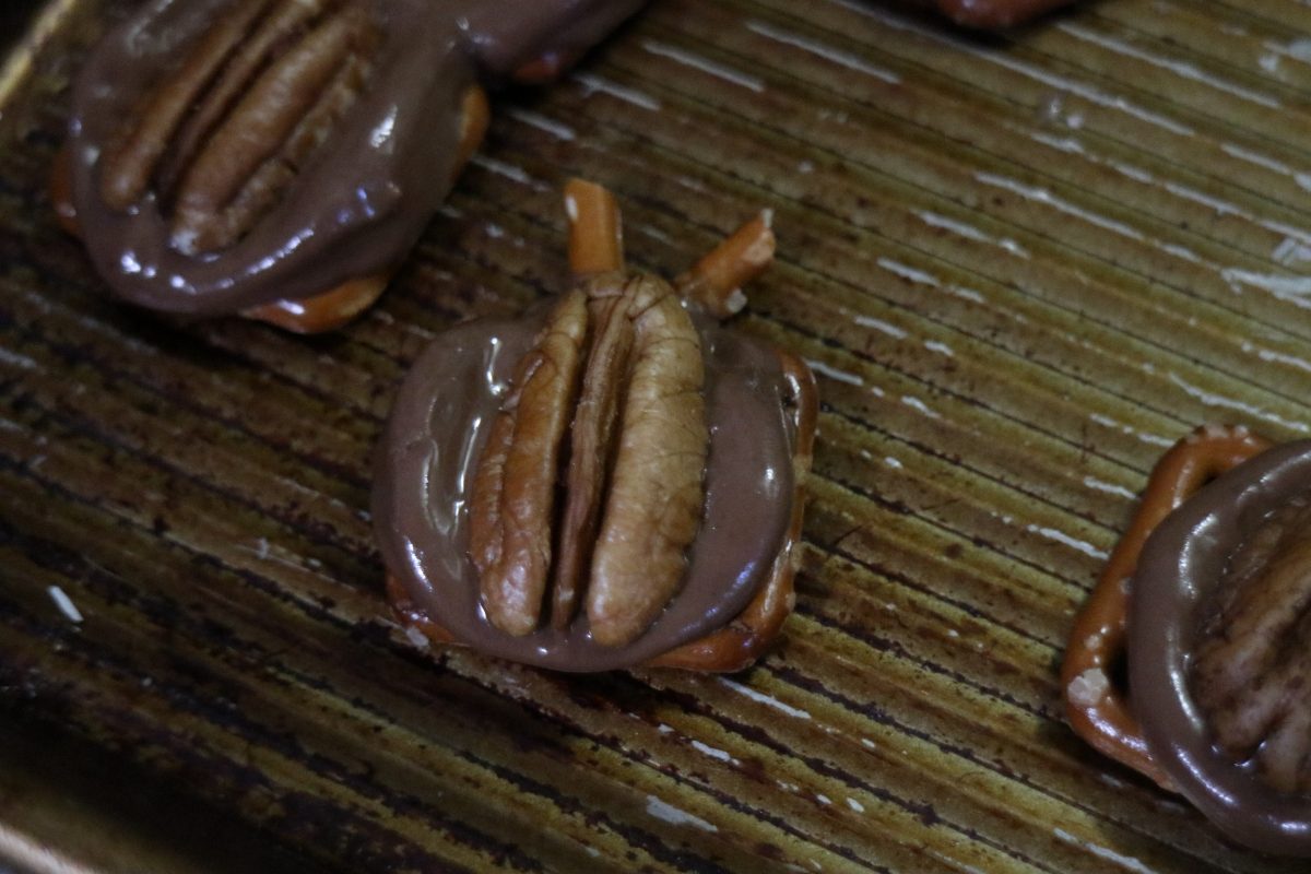 Sweet and Salty Beetle Cookies | Bug Week 2023